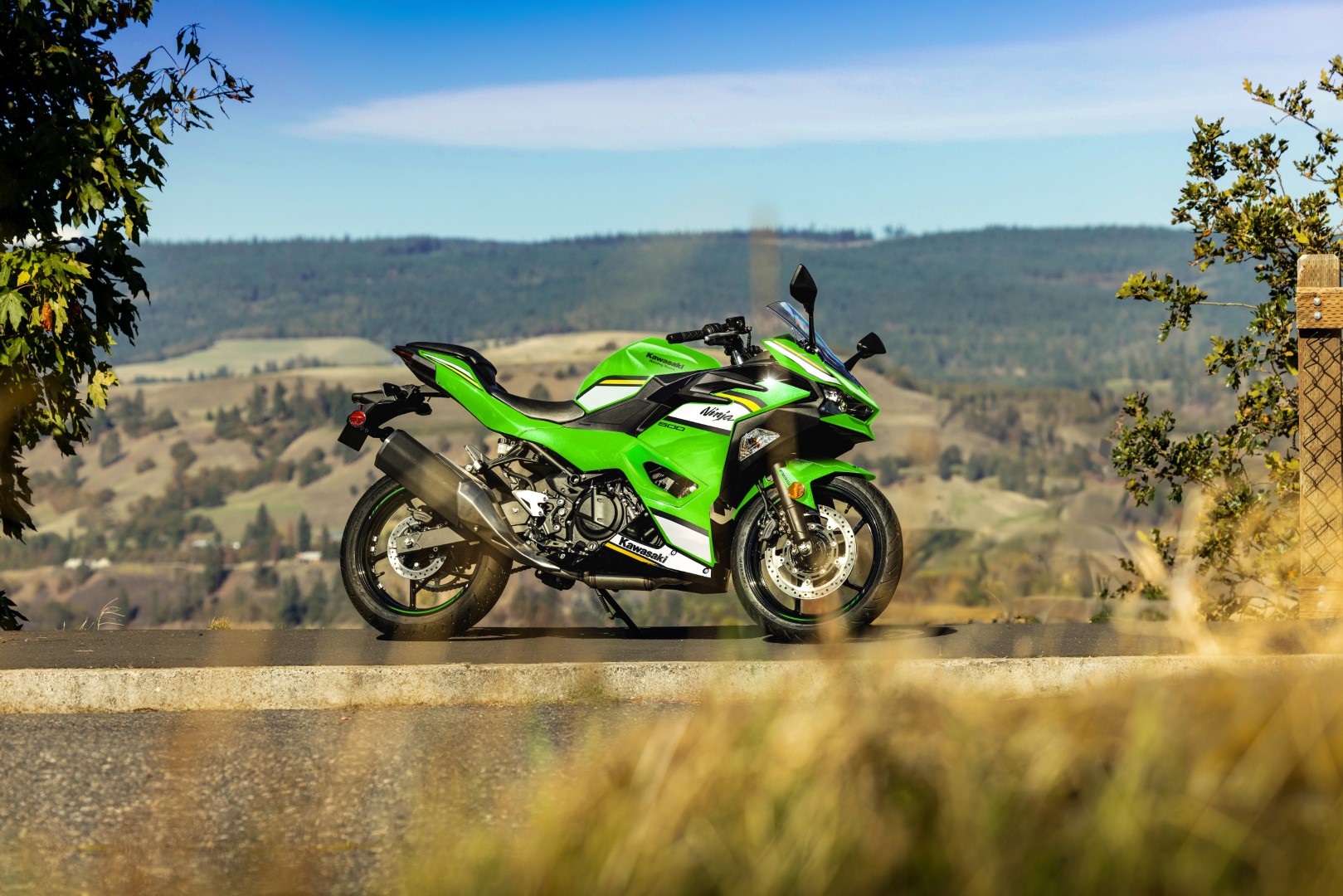 2025 kleuren Kawasaki Ninja 500 SE en Z500 SE bekend
